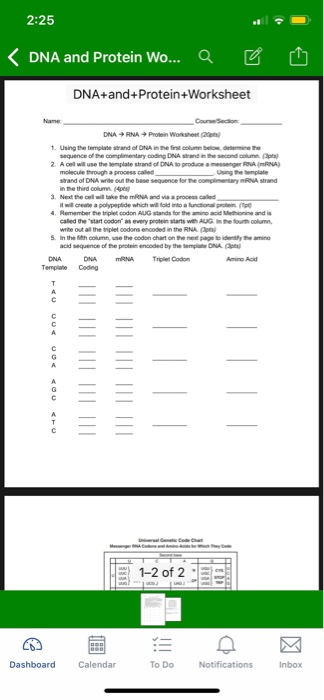 Solved 2:25 DNA and Protein Wo...Q DNA+and+Protein+Worksheet | Chegg.com