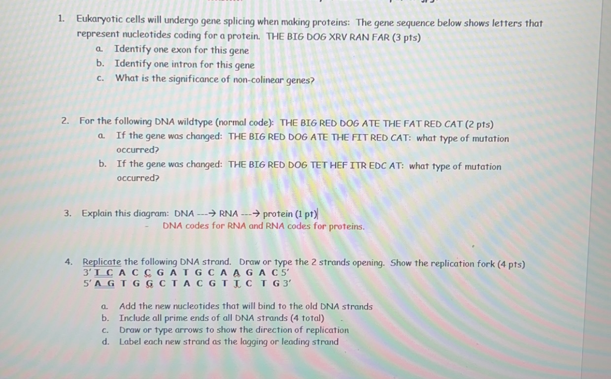 Solved 1. Eukaryotic cells will undergo gene splicing when | Chegg.com