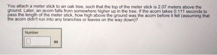 Solved You attach a meter stick to an oak tree, such that | Chegg.com