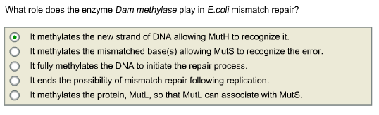 Solved What role does the enzyme Dam methylase play in | Chegg.com