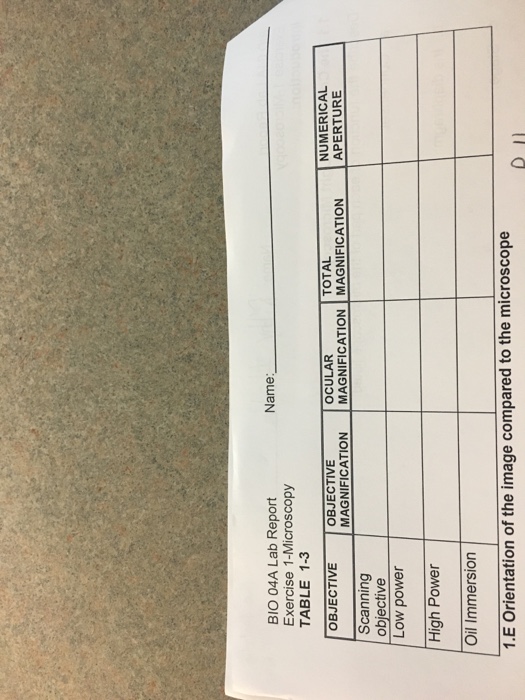 Solved BIO 04A Lab Report Name Exercise 1-Microscopy TABLE | Chegg.com