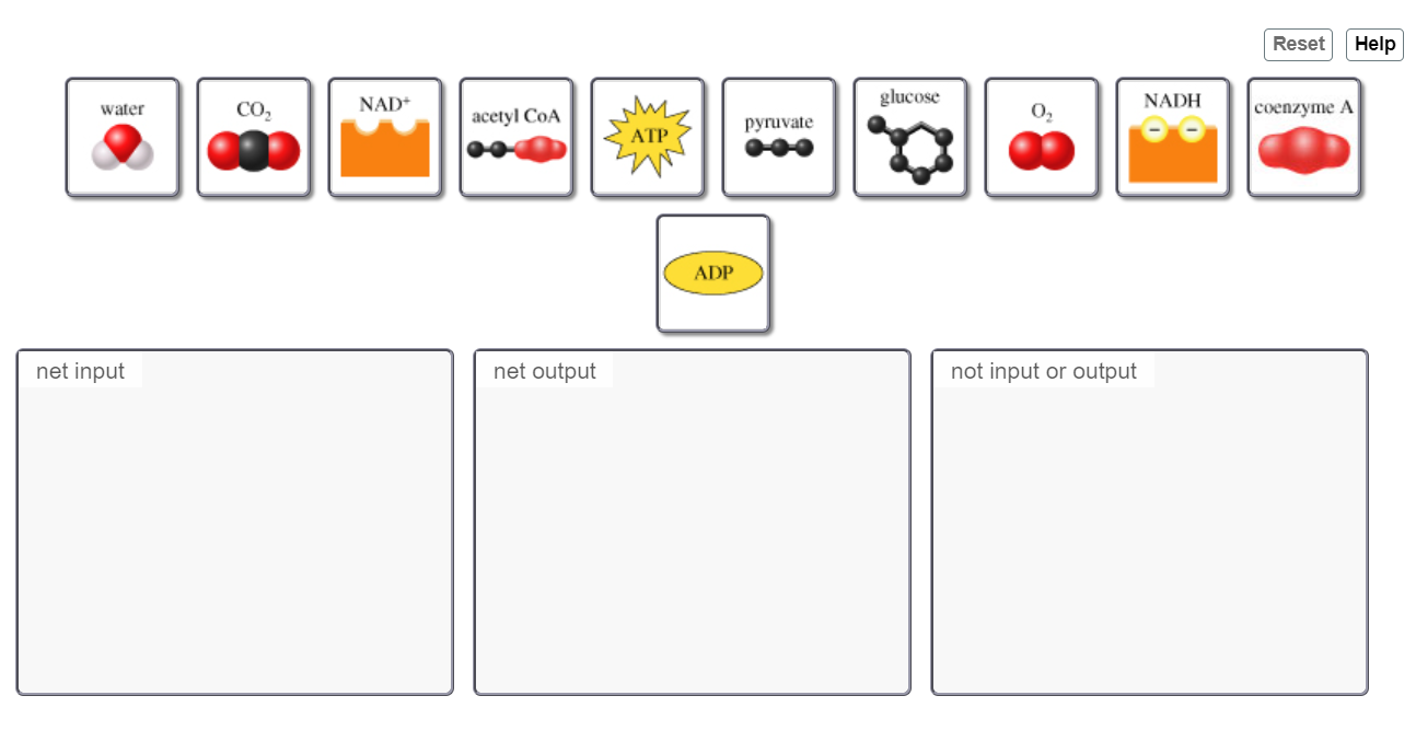 Solved In the last stage of cellular respiration, | Chegg.com