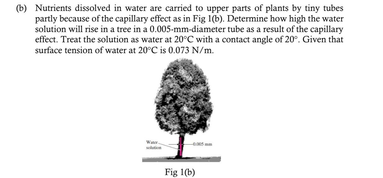 Solved (b) Nutrients dissolved in water are carried to upper | Chegg.com