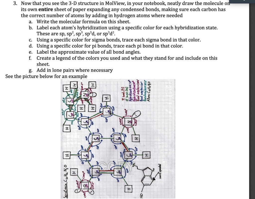 Now that you see the 3-D structure in MolView, in | Chegg.com