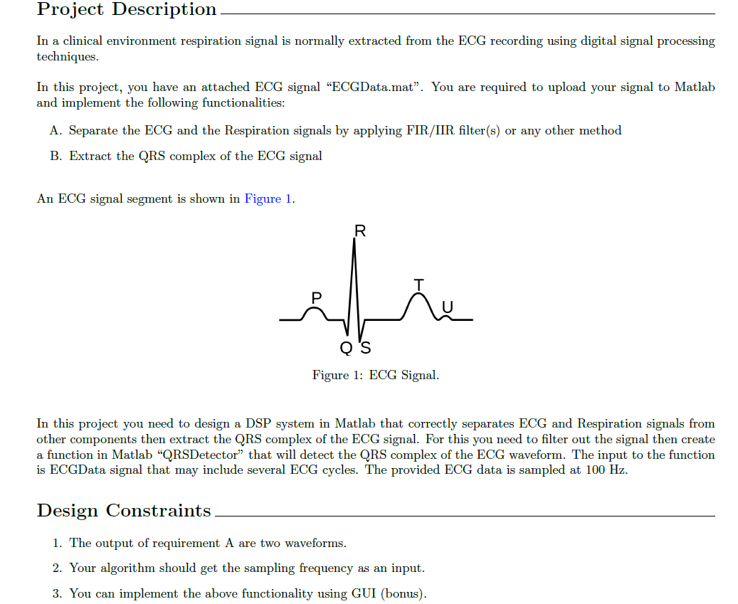 Project Description In a clinical environment | Chegg.com