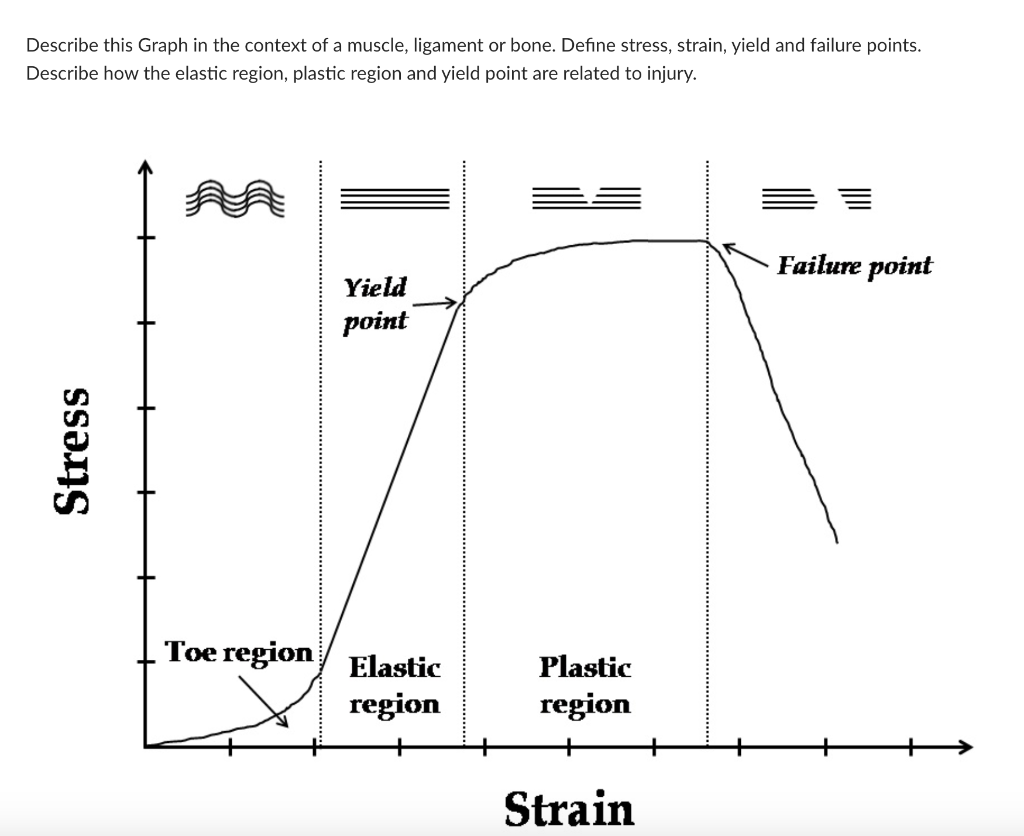 Solved Describe this Graph in the context of a muscle, | Chegg.com