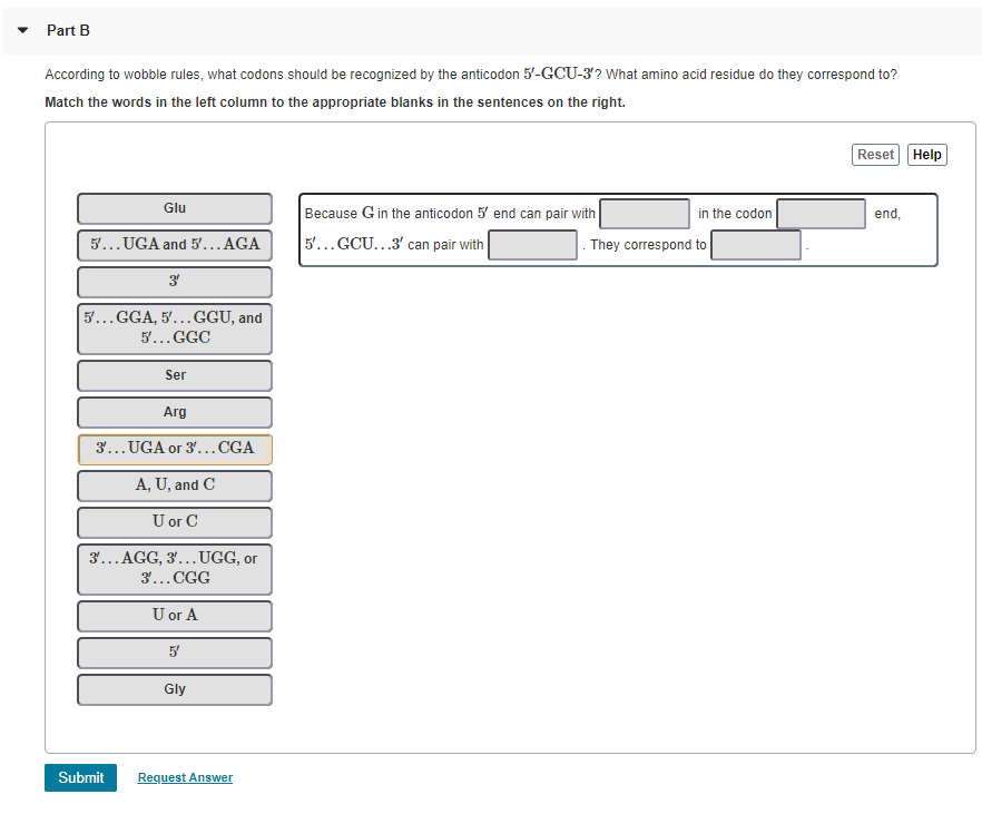 Solved Part B According To Wobble Rules What Codons Should