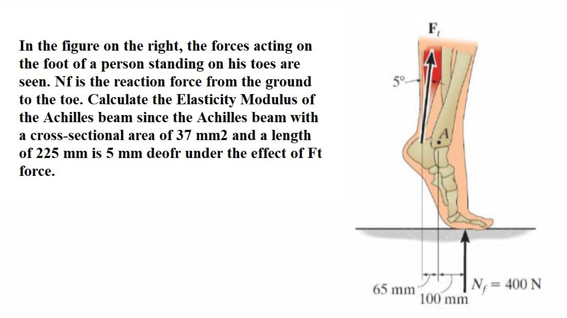 Solved F, In the figure on the right, the forces acting on | Chegg.com