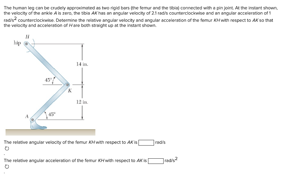 Solved The human leg can be crudely approximated as two | Chegg.com