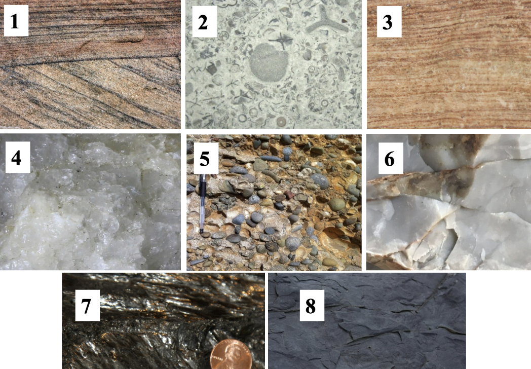 Solved Exercise 2- Sedimentary Rocks (10 points) Sedimentary | Chegg.com