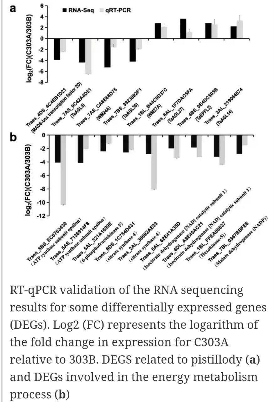 Solved a RNA-Seq GRT-PCR logz(FC)(C303A/303B) (MADS-box | Chegg.com