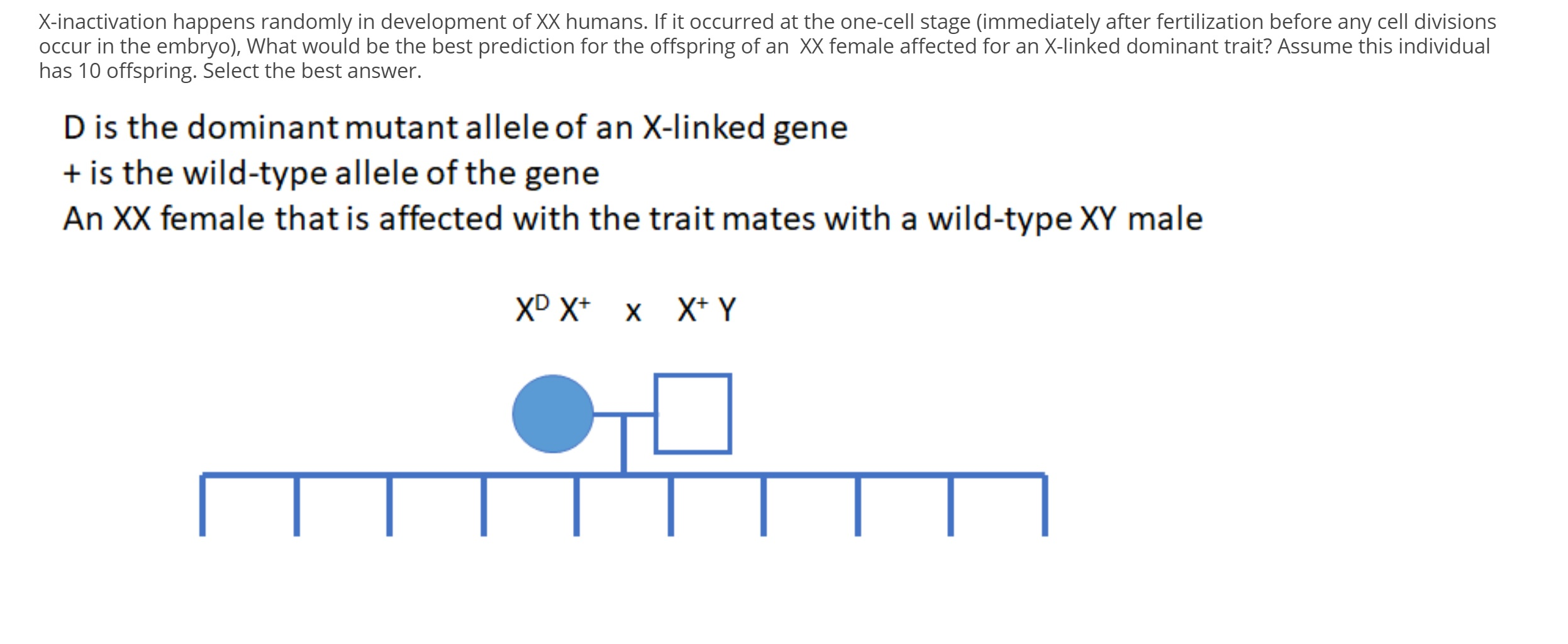 Solved all XY male offspring will be affected all female | Chegg.com