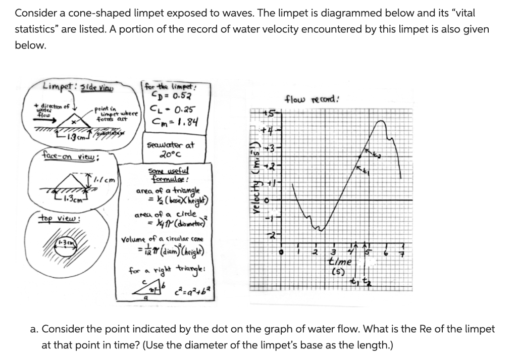 Solved Consider a cone-shaped limpet exposed to waves. The | Chegg.com
