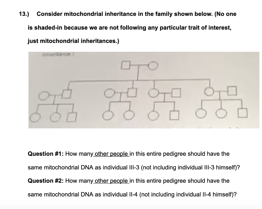 Solved 13.) Consider mitochondrial inheritance in the family | Chegg.com