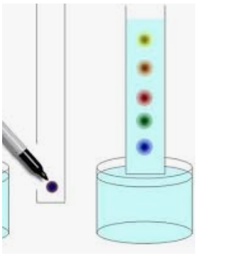 Solved In column chromatography, the components of the | Chegg.com