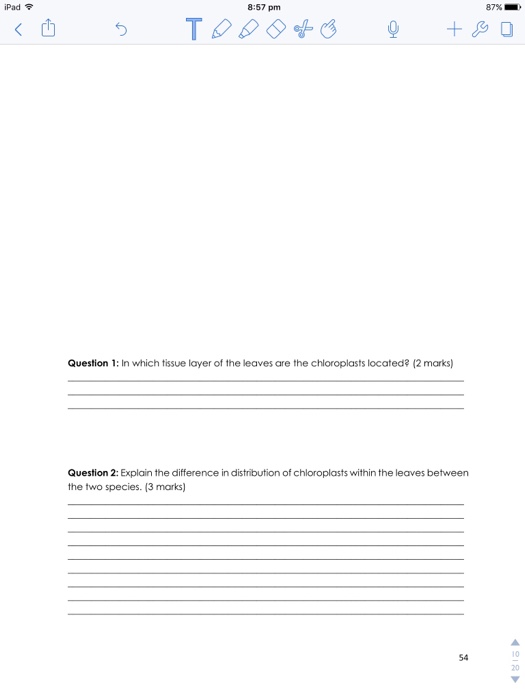Solved SLE132 BIOLOGY: FORM AND FUNCTION Name ID Practical | Chegg.com