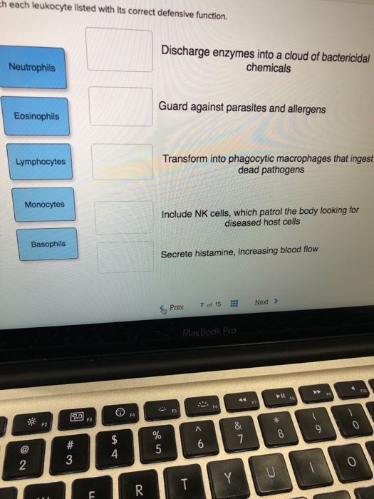 Solved h each leukocyte listed with its correct defensive | Chegg.com