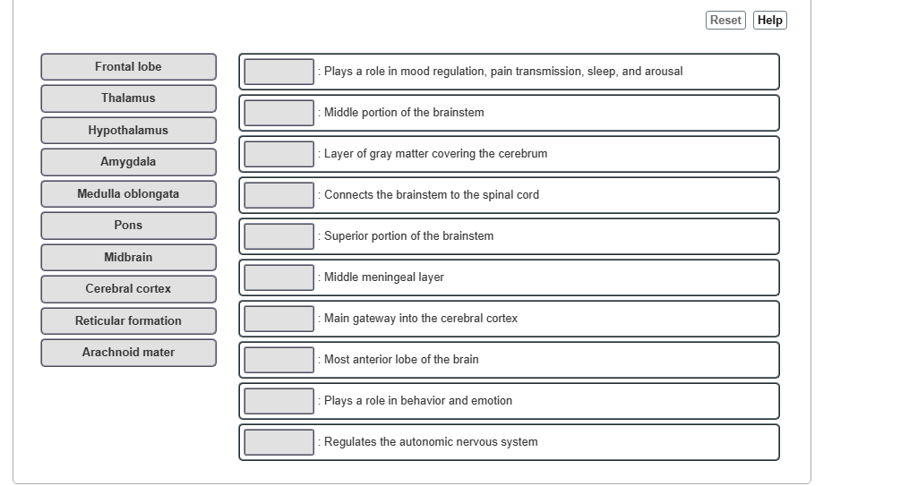 Solved Match the description with the appropriate term. | Chegg.com