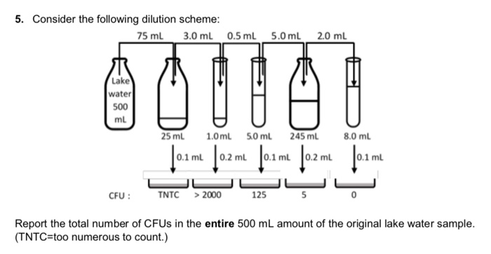Solved 5. Consider the following dilution scheme: 75 ml 3.0 | Chegg.com