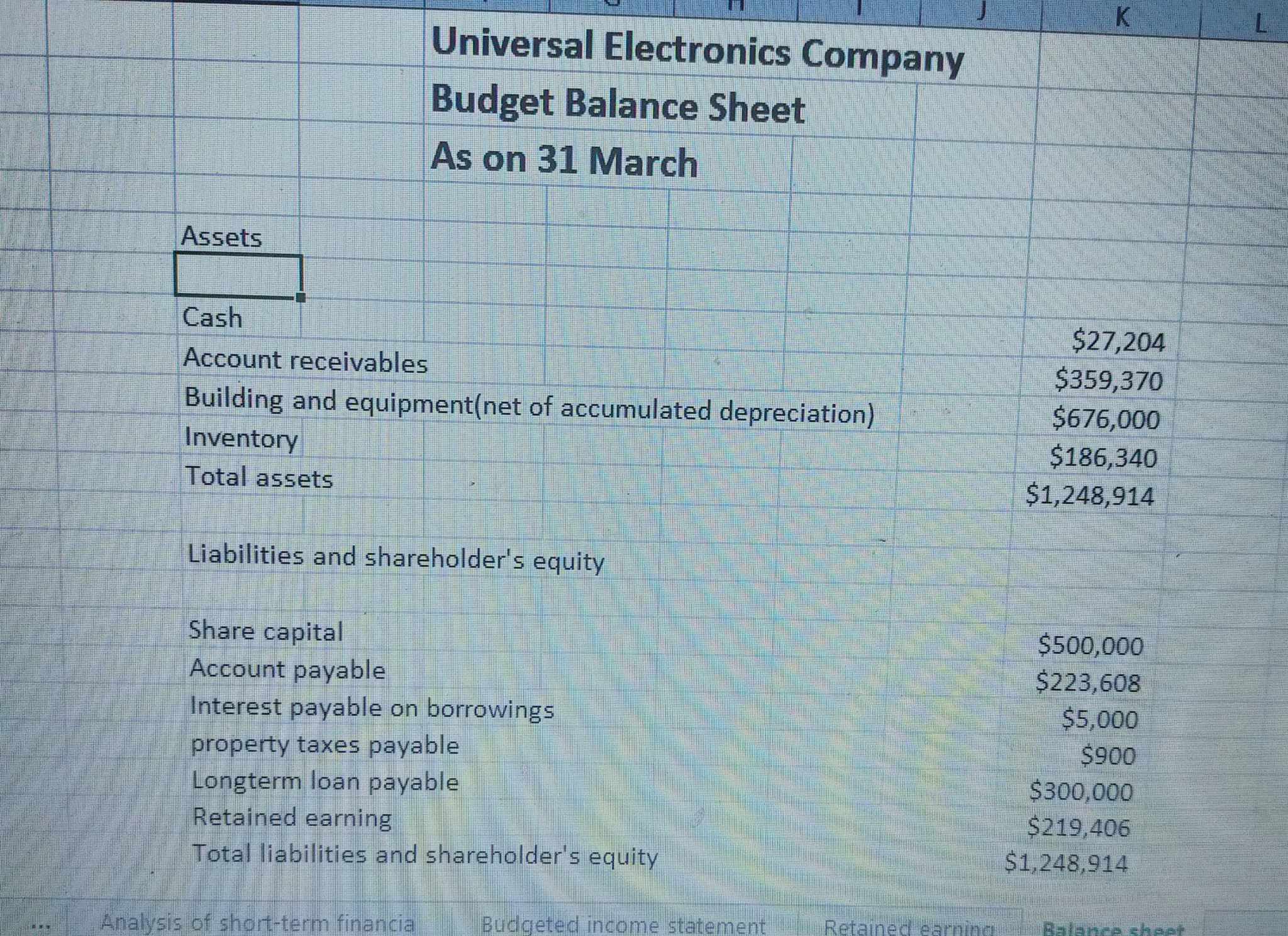 Solved Do analysis of this balance sheet | Chegg.com