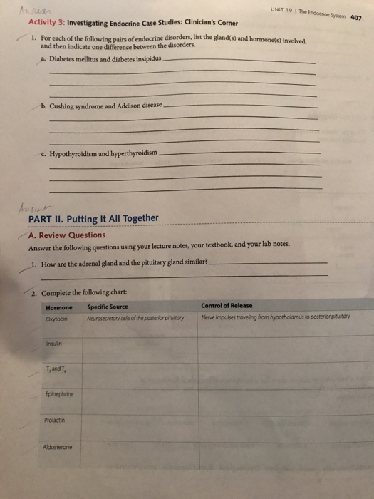 Solved UNIT 19 The Endocrine system 40n Activity 3: | Chegg.com