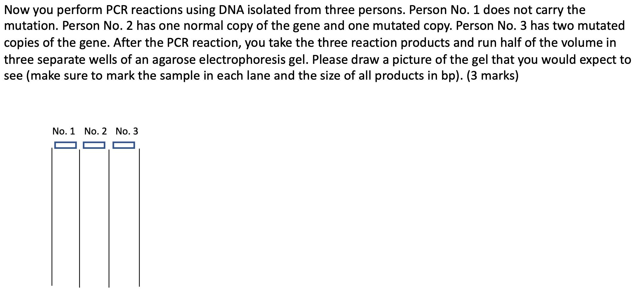 Solved The mutation is illustrated in the schematic diagram | Chegg.com