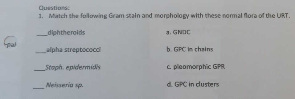 Solved Questions: 1. Match the following Gram stain and | Chegg.com