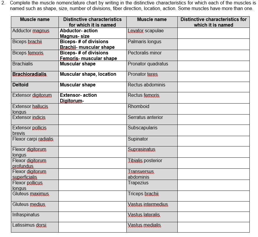 Solved Complete the muscle nomenclature chart by writing in | Chegg.com