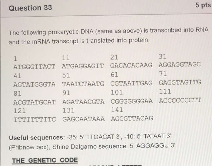Solved 5 pts Question 33 The following prokaryotic DNA (same | Chegg.com