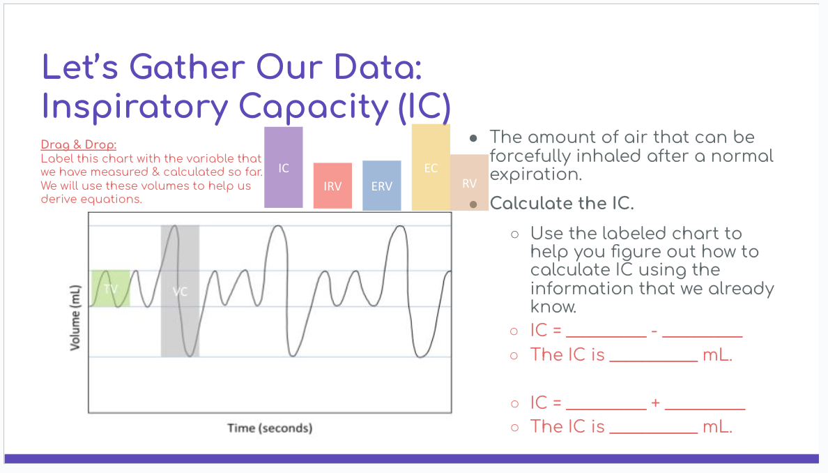 Solved Let's Gather Our Data:Inspiratory Capacity (IC)Drag & | Chegg.com