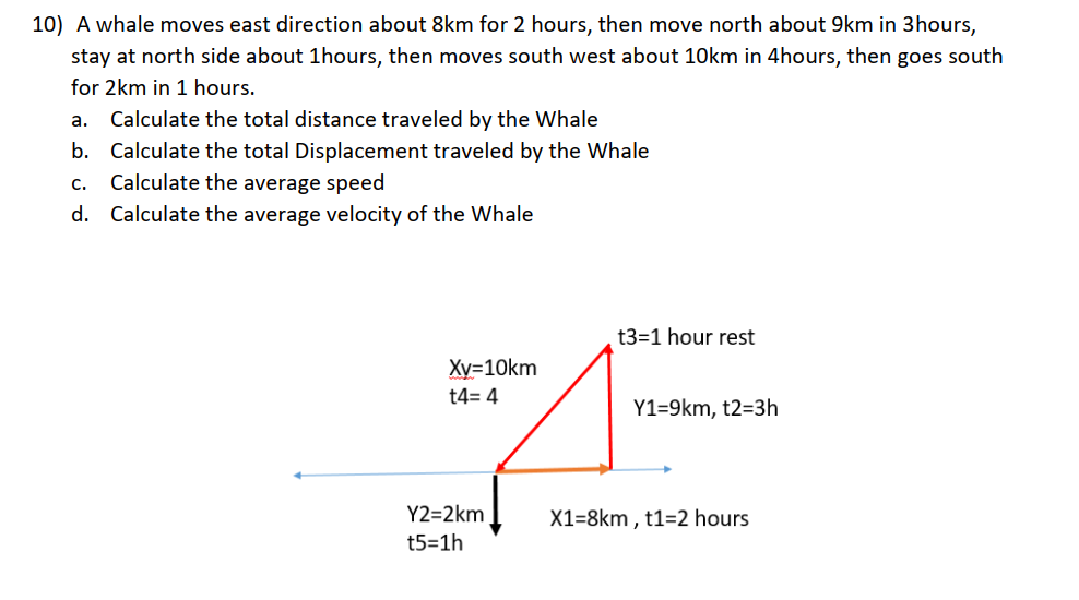 Solved 10) A whale moves east direction about 8km for 2 | Chegg.com