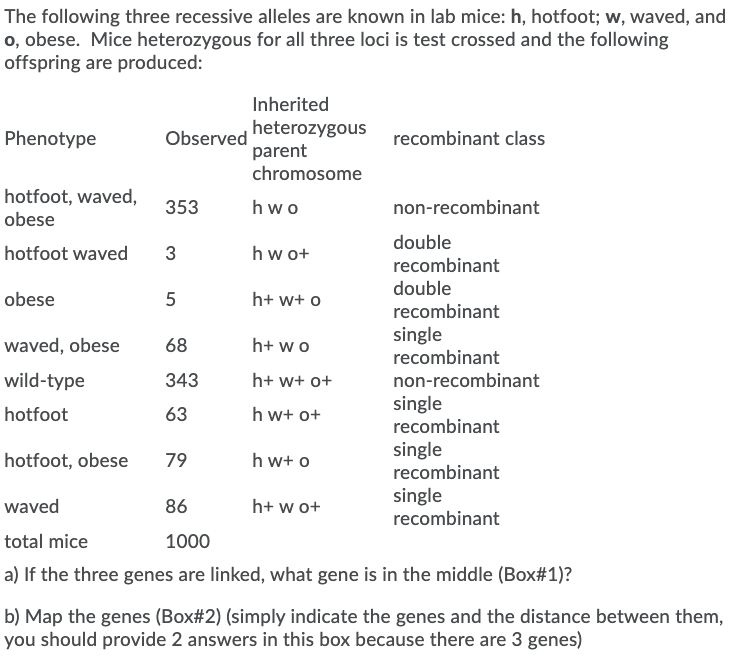 Solved The following three recessive alleles are known in | Chegg.com