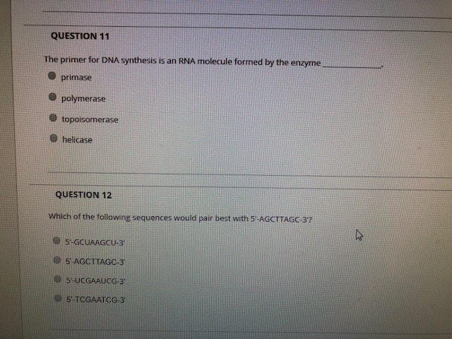 Solved QUESTION 11 The primer for DNA synthesis is an RNA | Chegg.com
