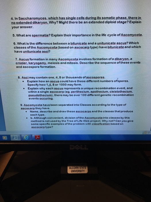 Solved 4. In Saccharomyces, which has single cells during | Chegg.com