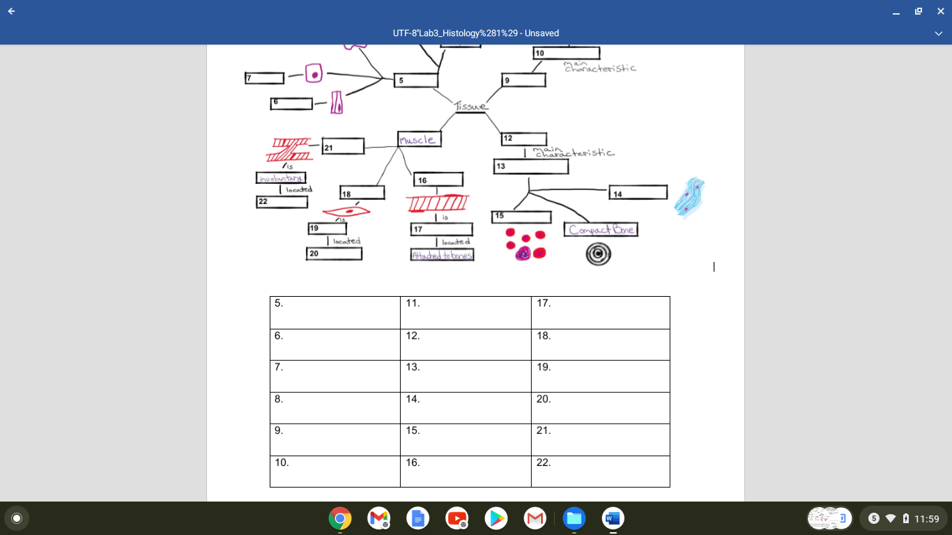 Solved Activity 3: Tissue Concept Map (#5-#21) The concept | Chegg.com