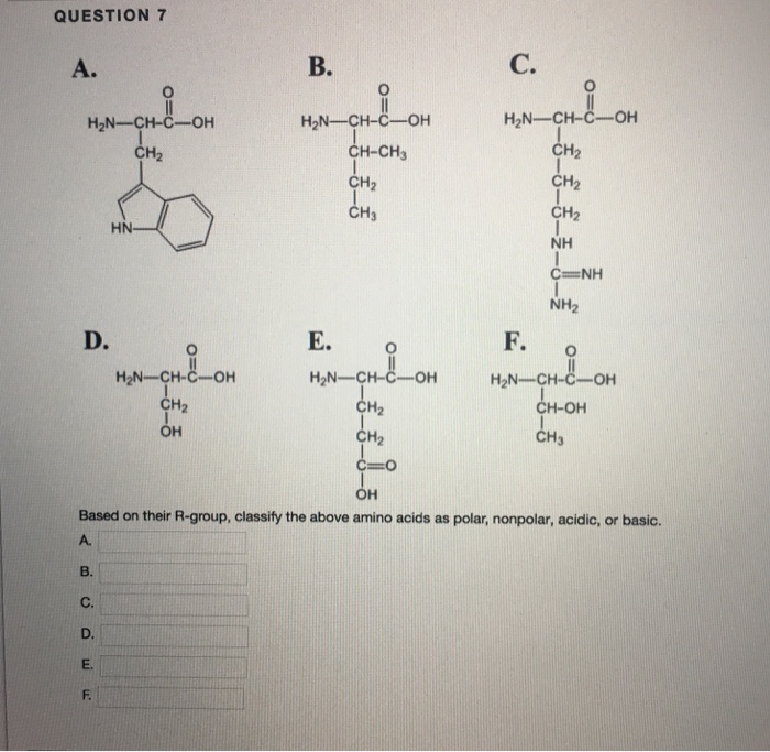 Solved Based on their R-group. classify the above amino | Chegg.com