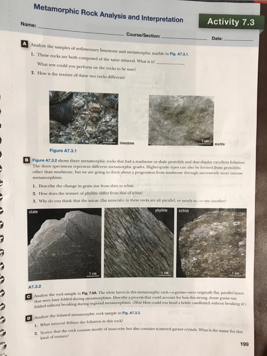 Activity 7.3 Metamorphic Rock Analysis and | Chegg.com
