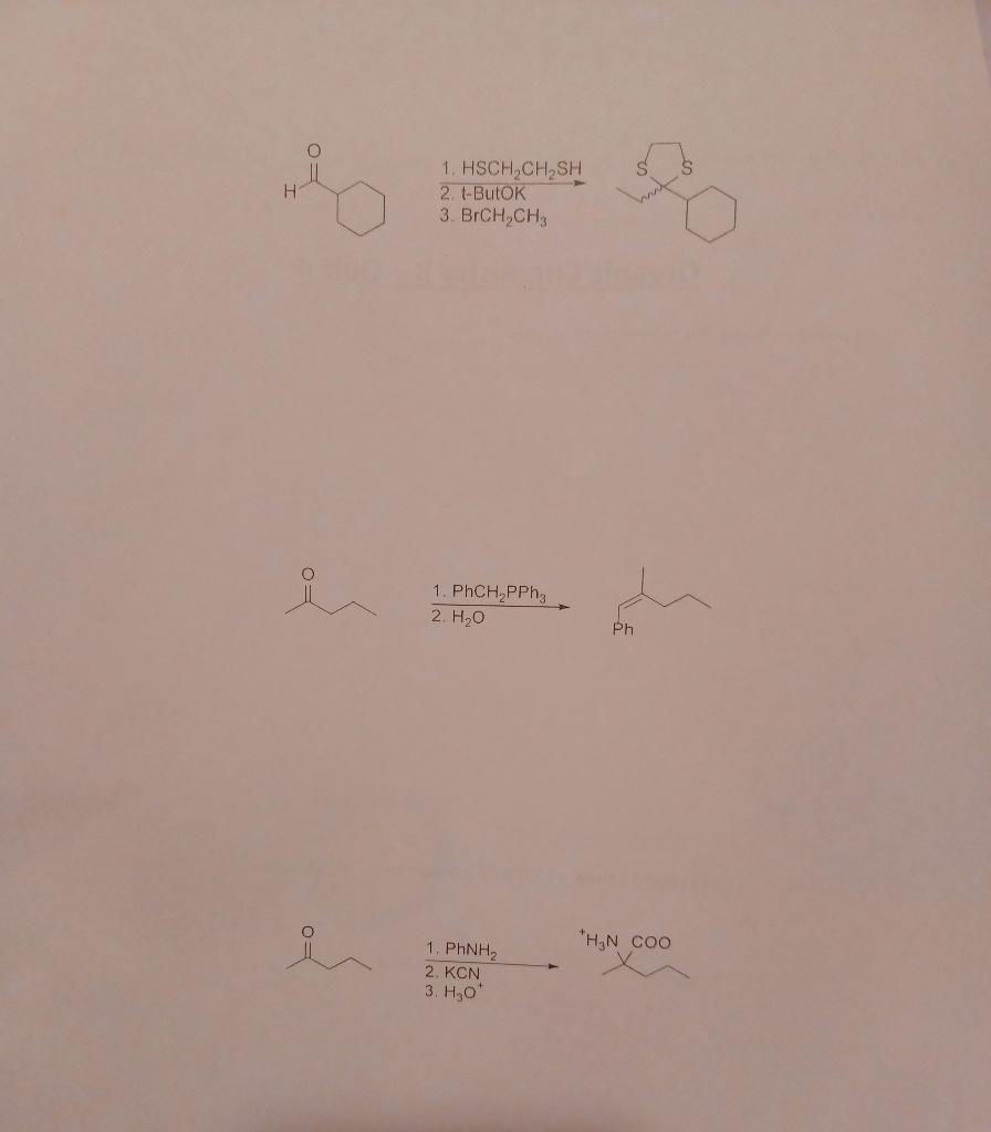Solved 1. HSCH2CH2SH 2. t-ButOK 3. BrCH2CH3 1. PhNH2 ++H3 | Chegg.com