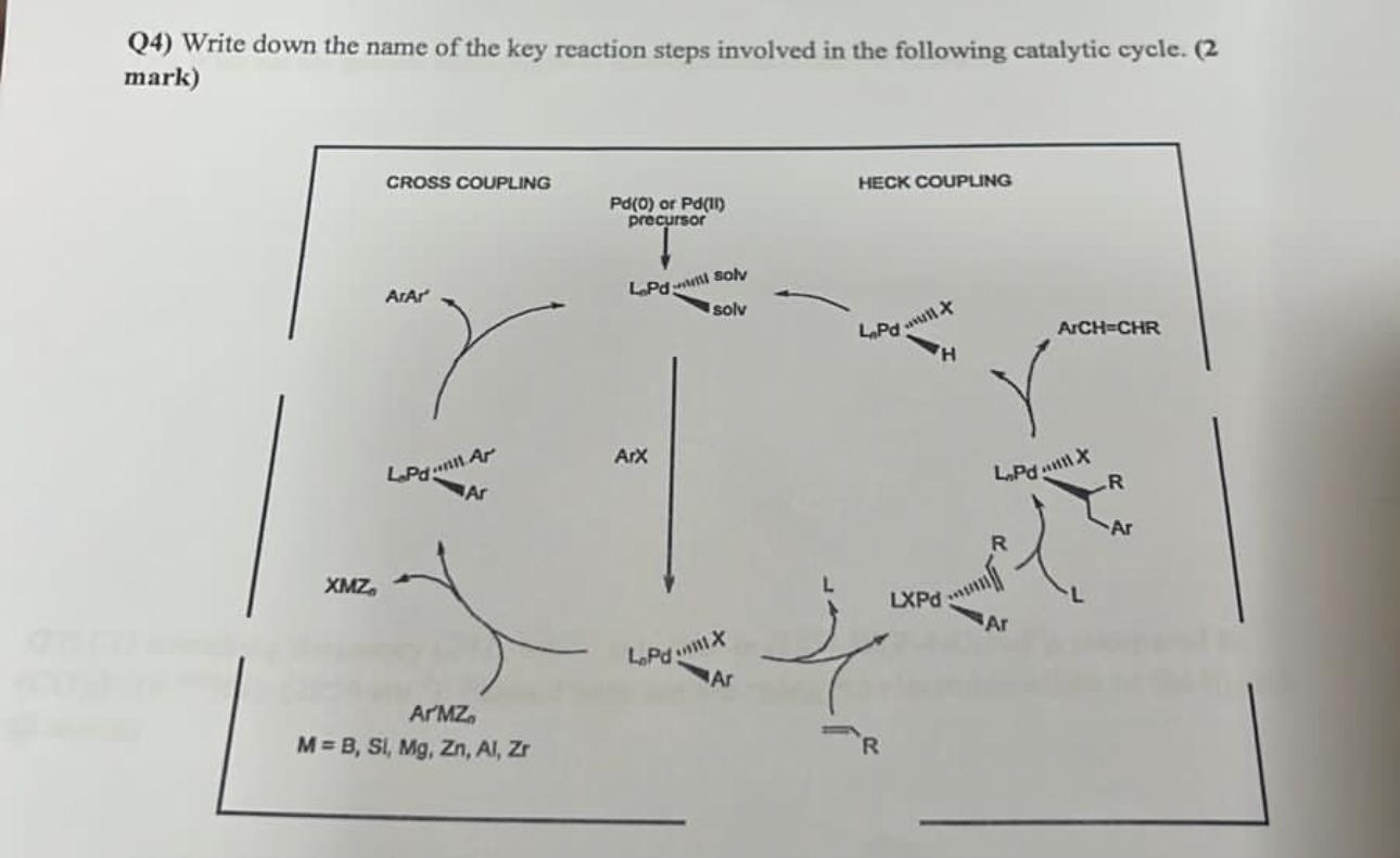 write down the name of the key reaction steps | Chegg.com