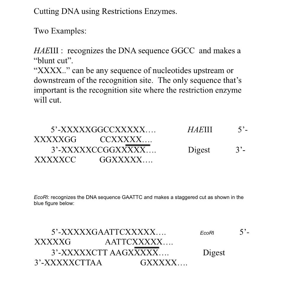 Solved Cutting DNA using Restrictions Enzymes. Two Examples: | Chegg.com