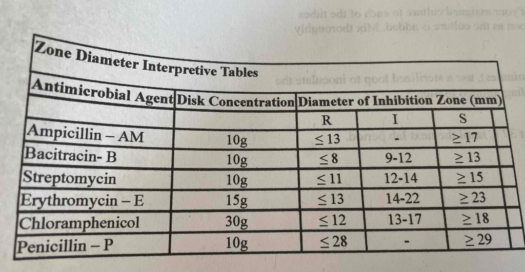 Solved After an overnight incubation, a Kirby Bauer | Chegg.com