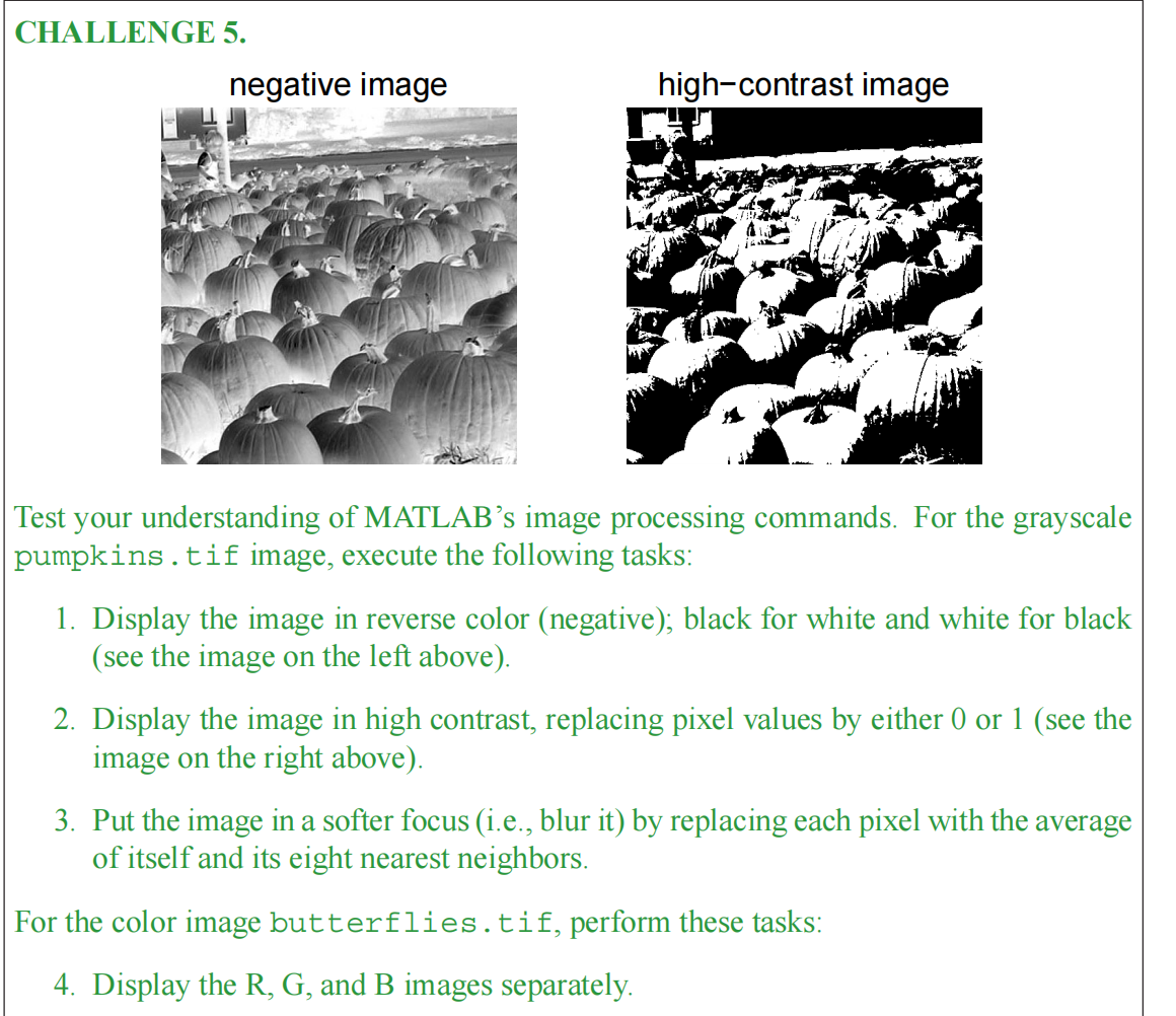 Solved CHALLENGE 5. negative image hinh-c.nntrast imane Test | Chegg.com