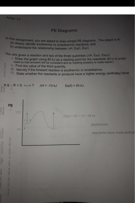 Solved Not sure how to do PE diagrams, instructions on first | Chegg.com