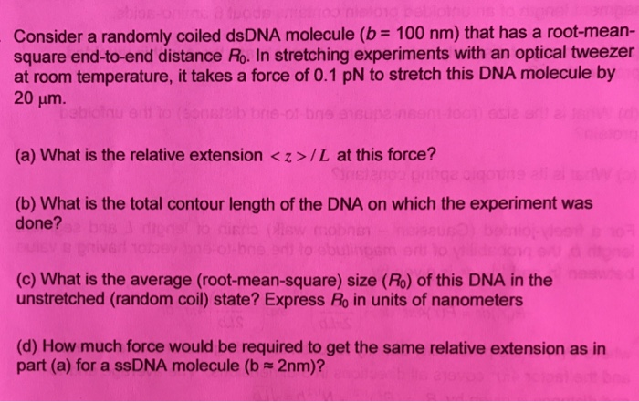 Consider a randomly coiled dsDNA molecule (b = 100 | Chegg.com