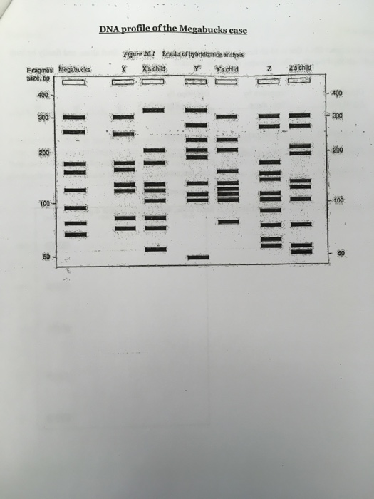 Solved Exercise 4: A Paternity Case paternity | Chegg.com
