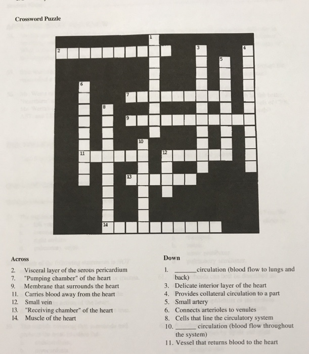 Solved Crossword Puzzle 10 12 13 14 Across Down circulation | Chegg.com