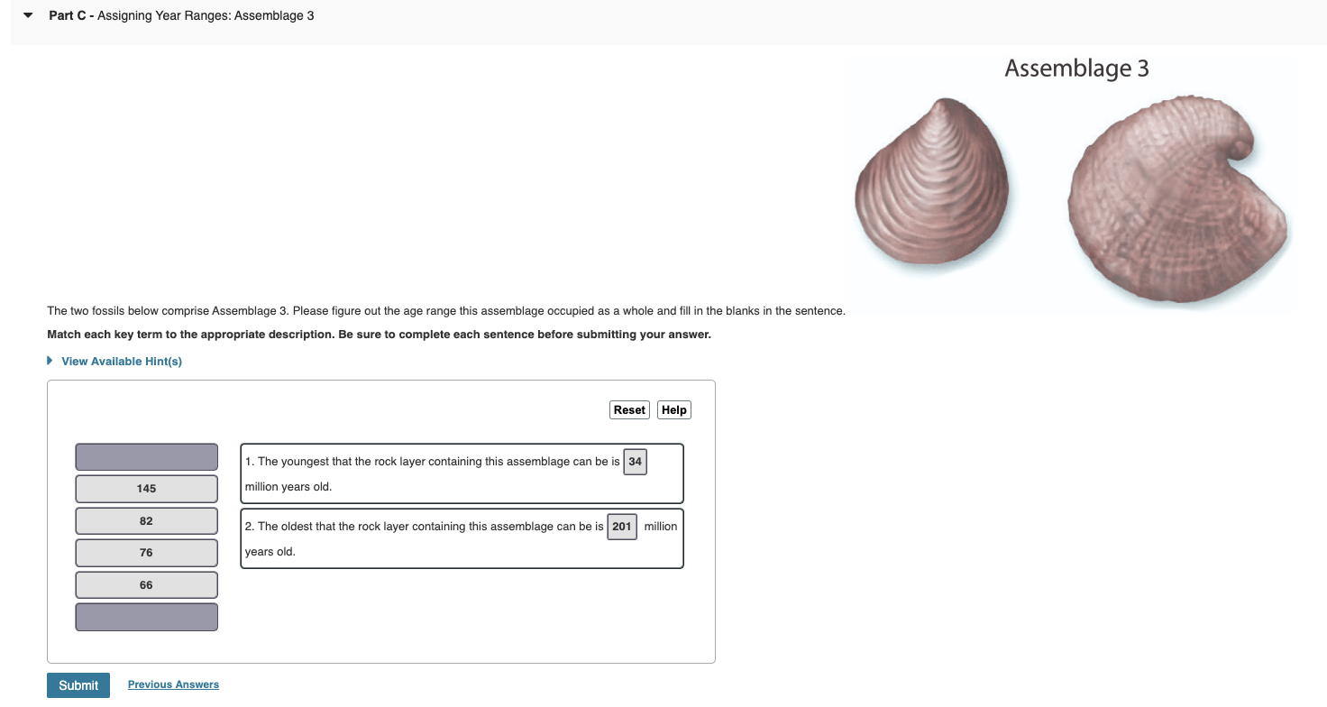 Solved The two fossils below comprise Assemblage 3 . | Chegg.com