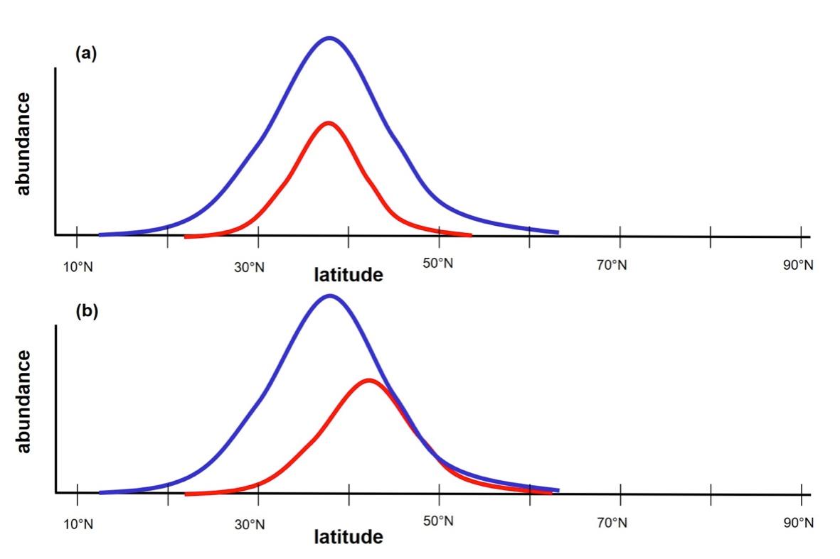 Solved The blue curve shows the potential abundance | Chegg.com
