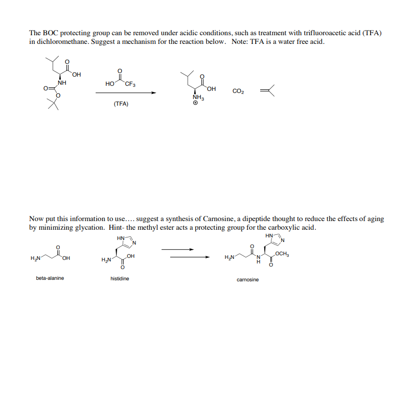 Solved The BOC protecting group can be removed under acidic | Chegg.com