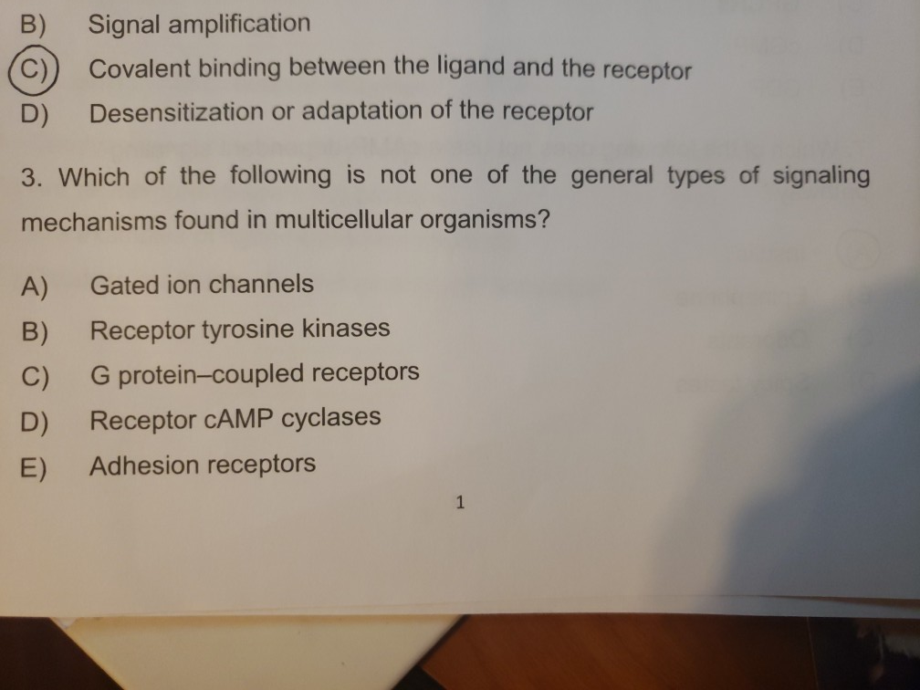 Solved Dr. David Leaver .: Fall 2019 Chapter 12 11. The | Chegg.com